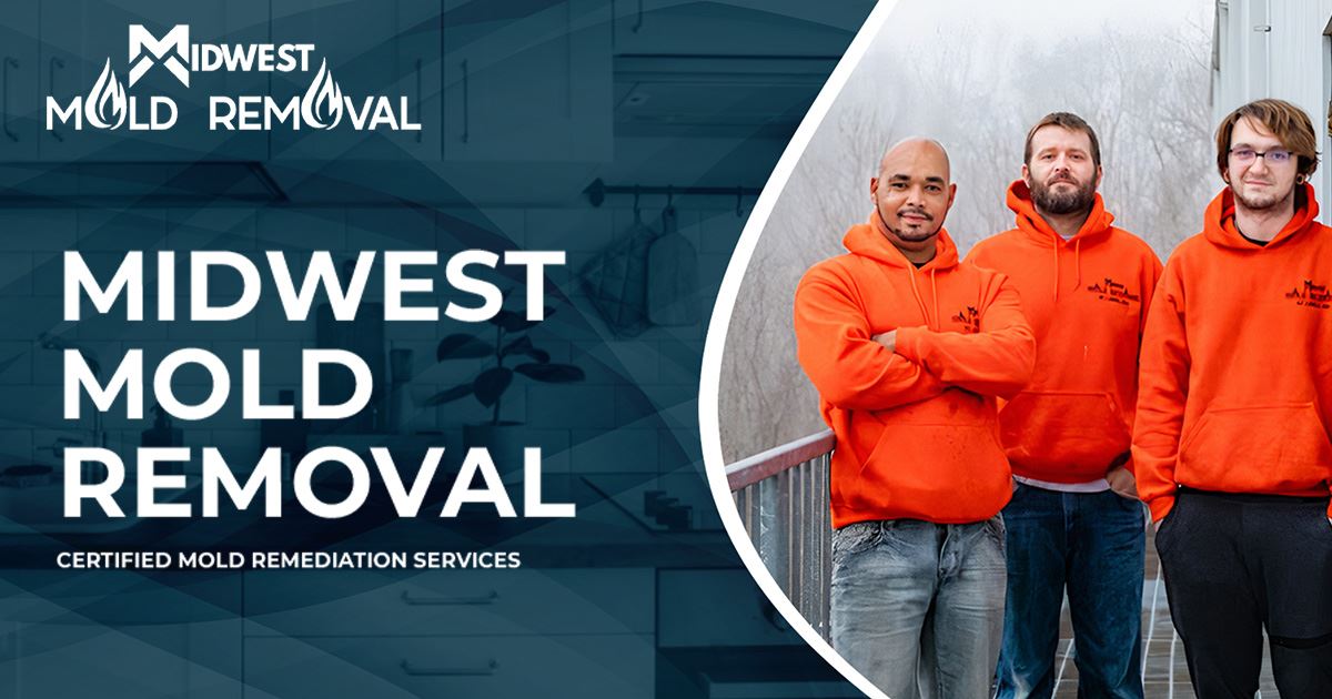 Mold Removal and Remediation in St. Louis | Midwest Mold Removal